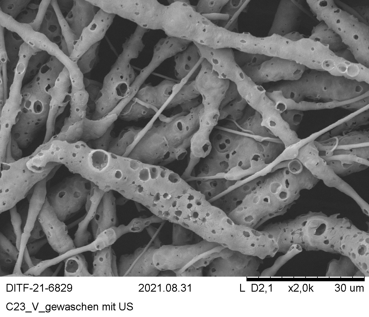 Medizinprodukte aus dem 3D-Drucker: DITF zeigen auf der MEDICA neue ...